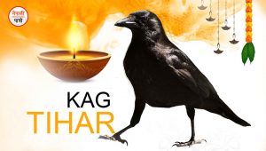 Gai Tihar - नेपाली पात्रो | Nepali Patro - गाई तिहार