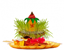 Jamara Archives - नेपाली पात्रो