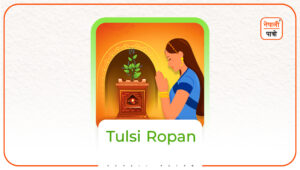 Method of planting Tulasi