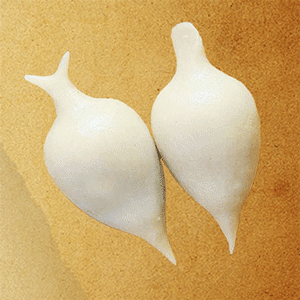 Mangsir 2081 - Nepali Patro - Nepali Calendar - नेपाली पात्रो